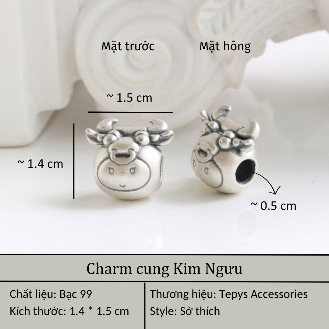 Bộ charm 12 cung hoàng đạo