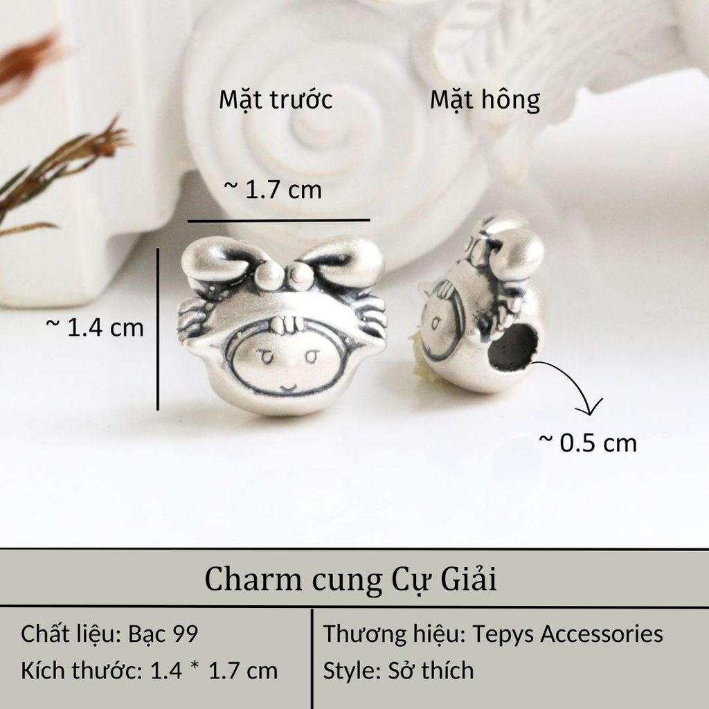 Bộ charm 12 cung hoàng đạo