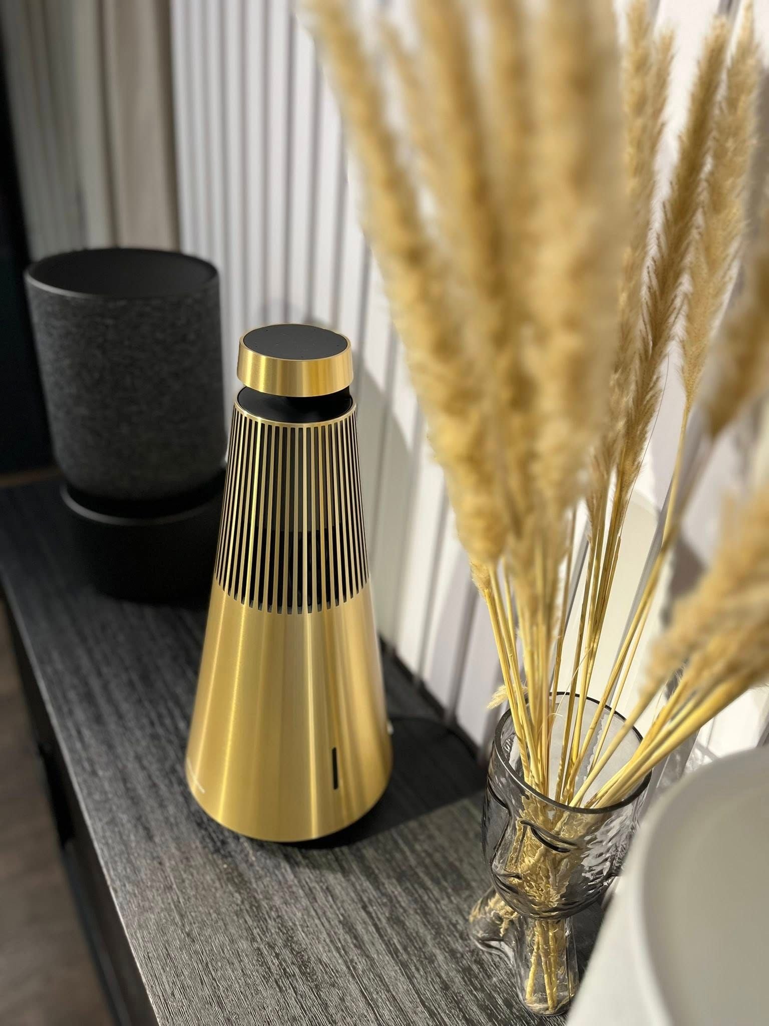 Master Code Beosound 1