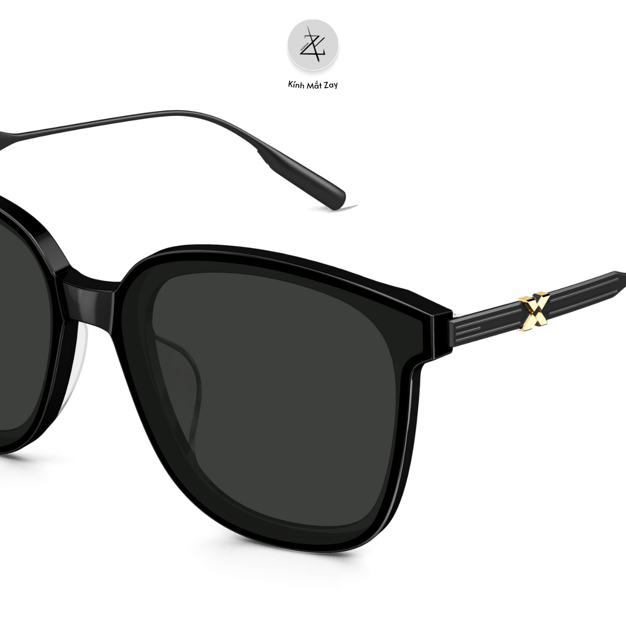 Kính mát phân cực Molsion MS3076 vuông nhựa & titanium chính hãng ...