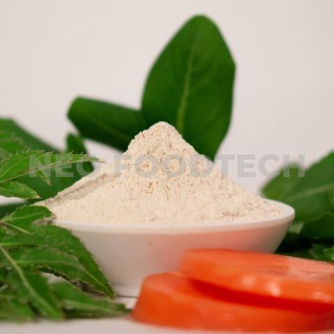 Pure Onion Powder – NEO FOODTECH