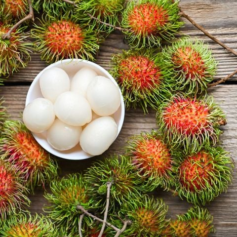 Papa Farm – CÔNG TY TNHH XUẤT NHẬP KHẨU PAPA FARM