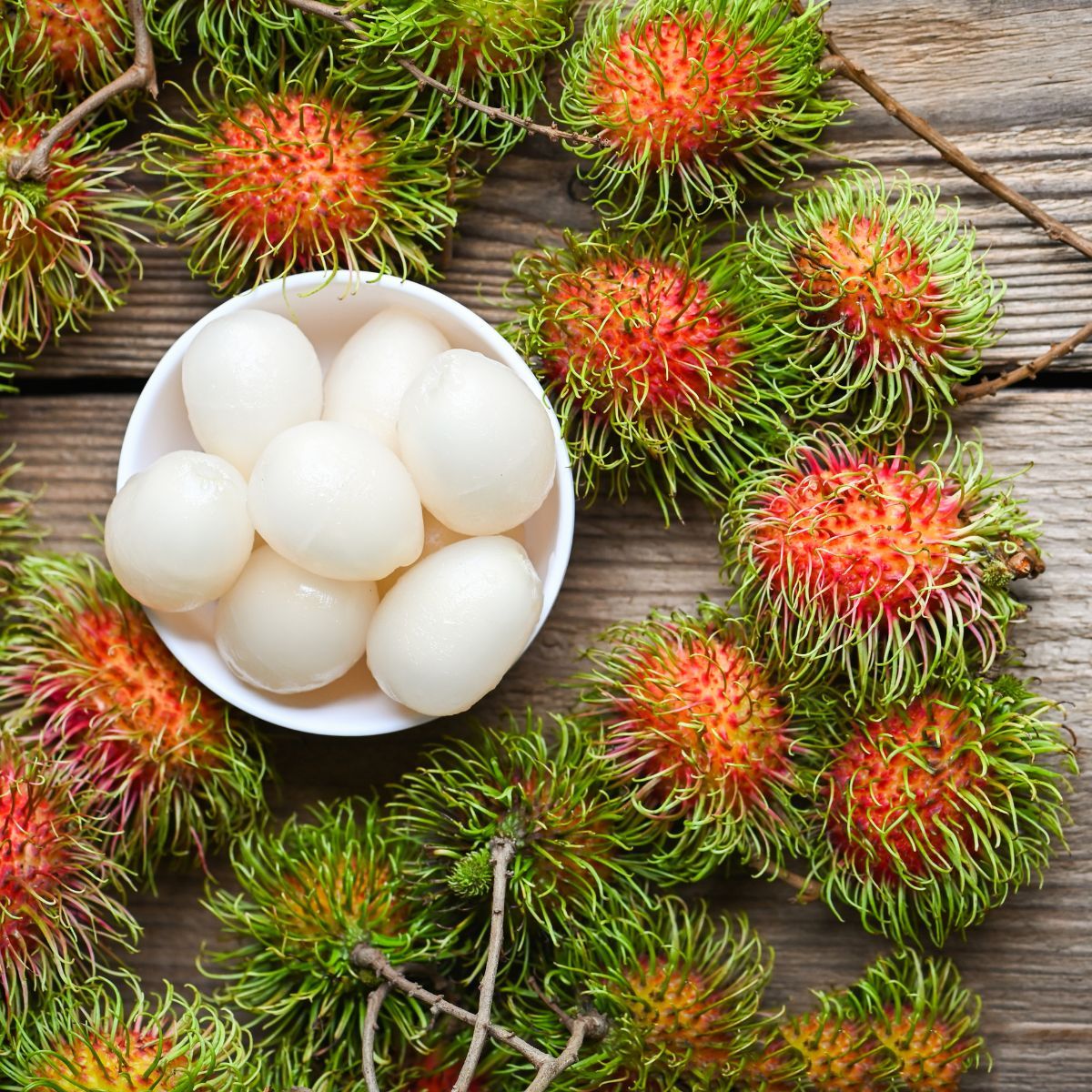 Chôm Chôm – CÔNG TY TNHH XUẤT NHẬP KHẨU PAPA FARM