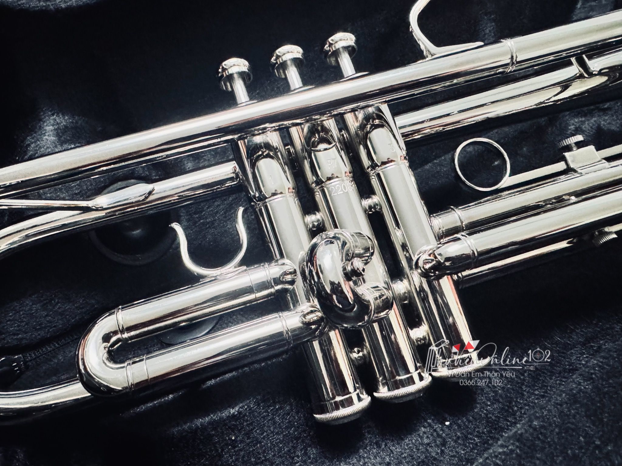 Kèn Trumpet – Thư viện Online 102