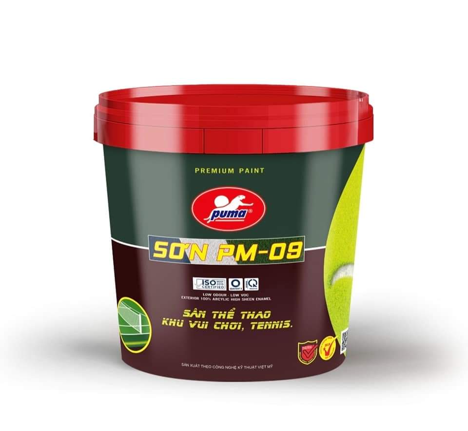 SƠN PM-09 SÂN THỂ THAO, SƠN SÂN TENNIS, KHU VUI CHƠI – maiphuongpaintshop