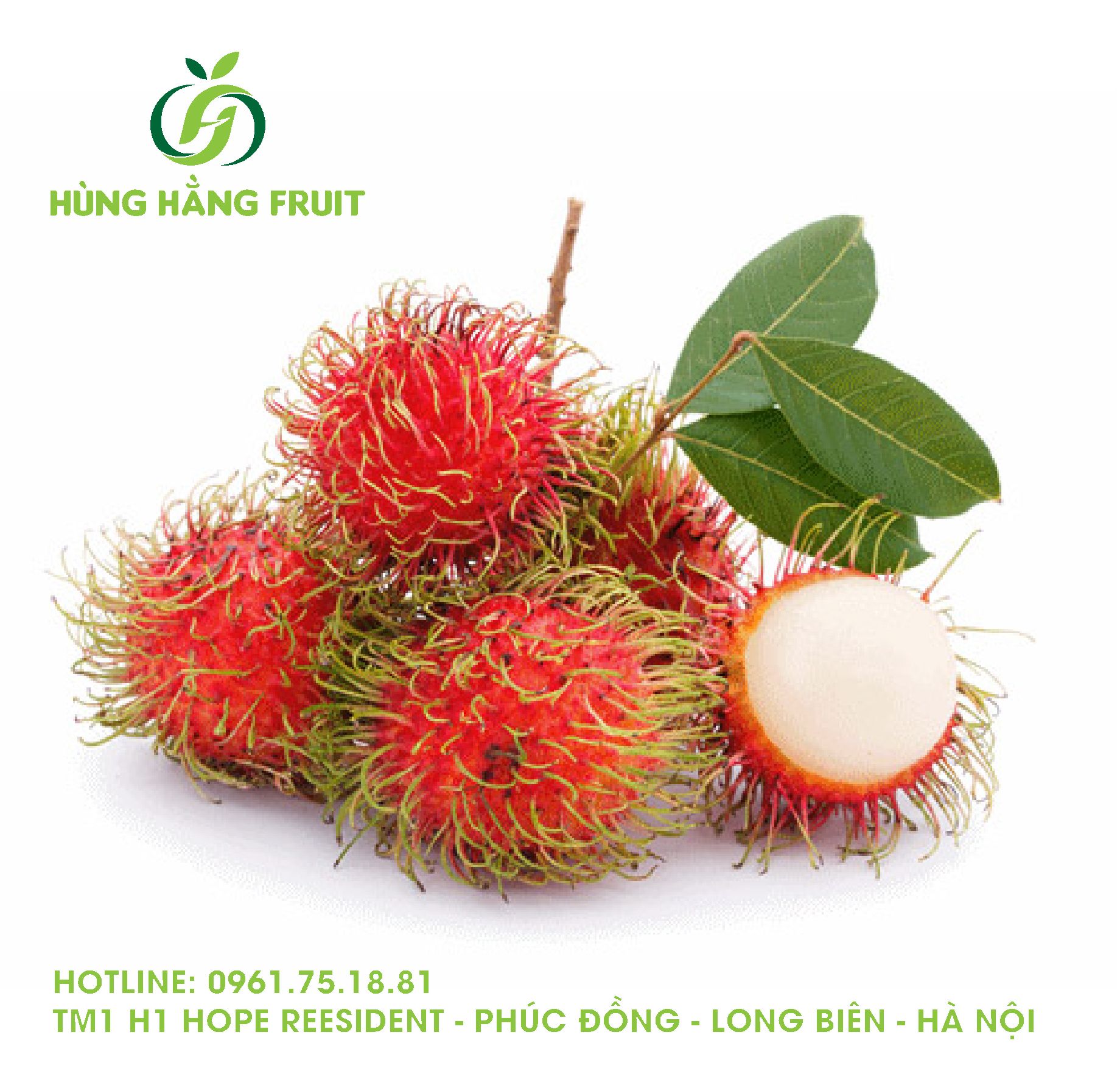 Chôm Chôm Nhãn – HÙNG HẰNG FRUIT - TRÁI CÂY NHẬP KHẨU