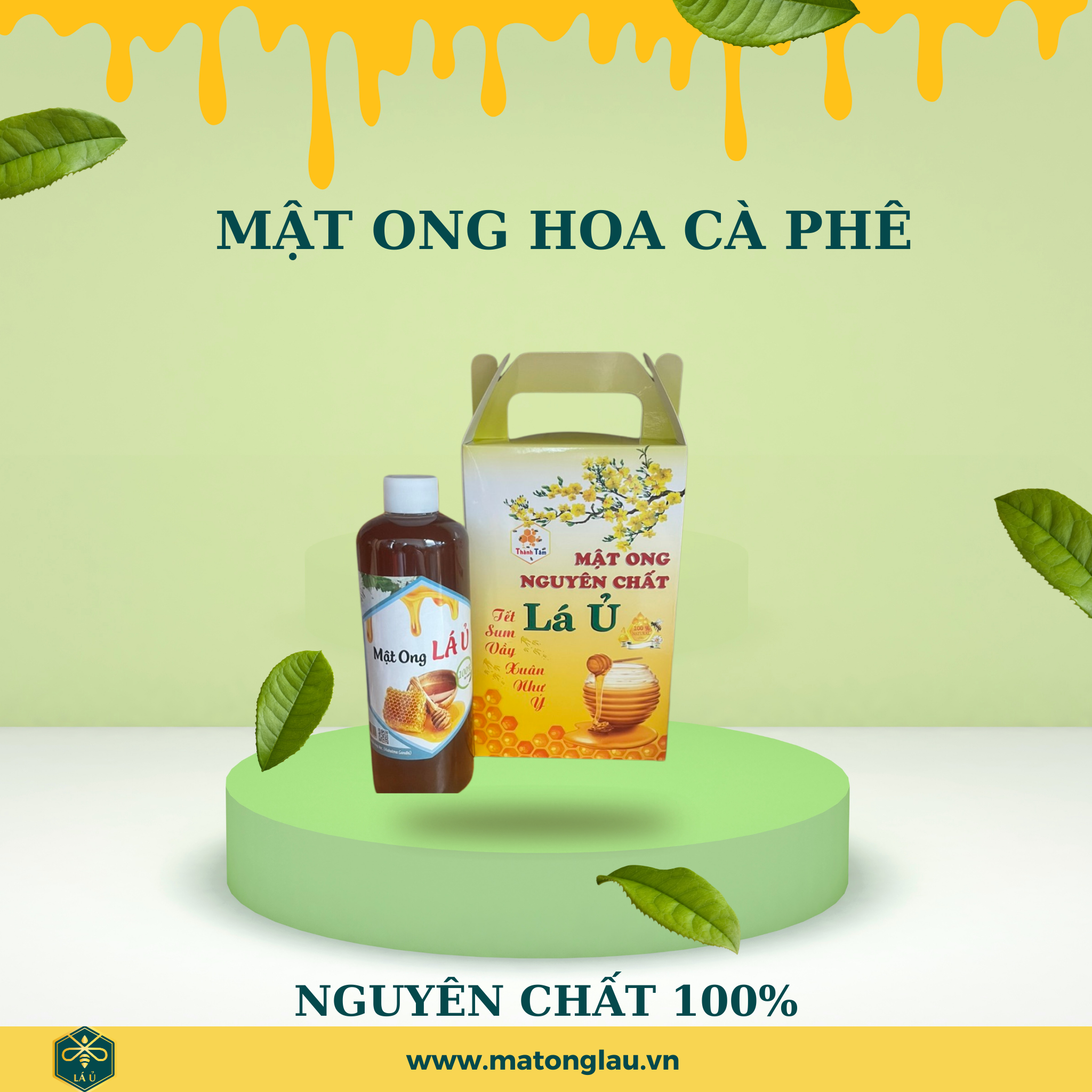 Mật ong hoa cà phê – MẬT ONG LÁ Ủ