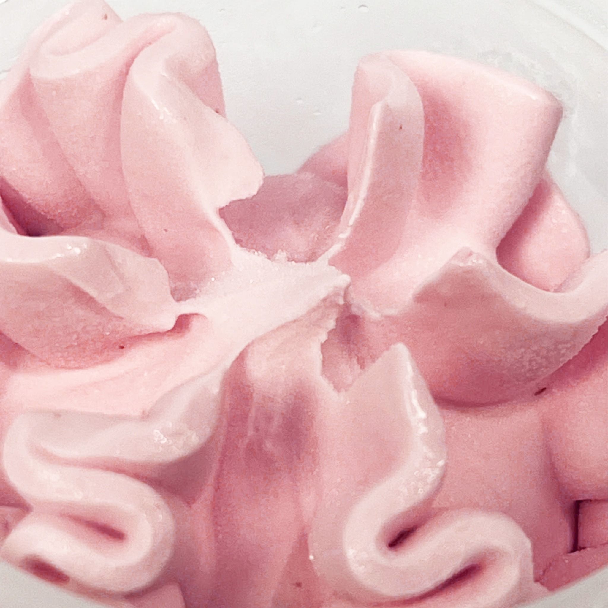 Kem hộp Monte Rosa 40gr – CÔNG TY CP THƯƠNG MẠI PHAN NAM MON TE RO SA