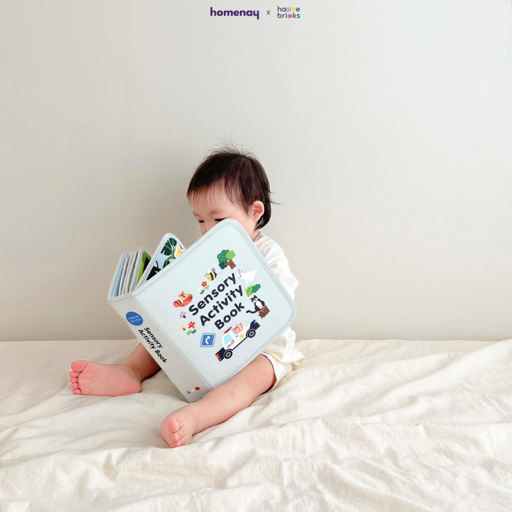 Sách phát triển trí não sớm cho trẻ Haave Bricks – HOMENAY