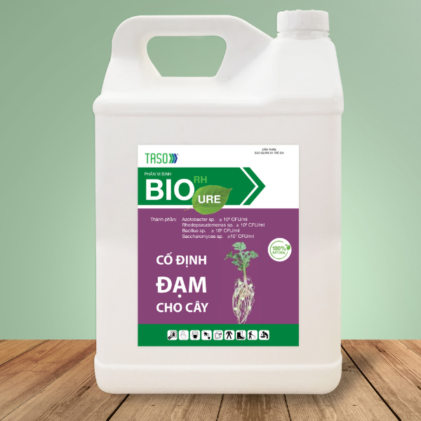 Men vi sinh BIO UREA TASO