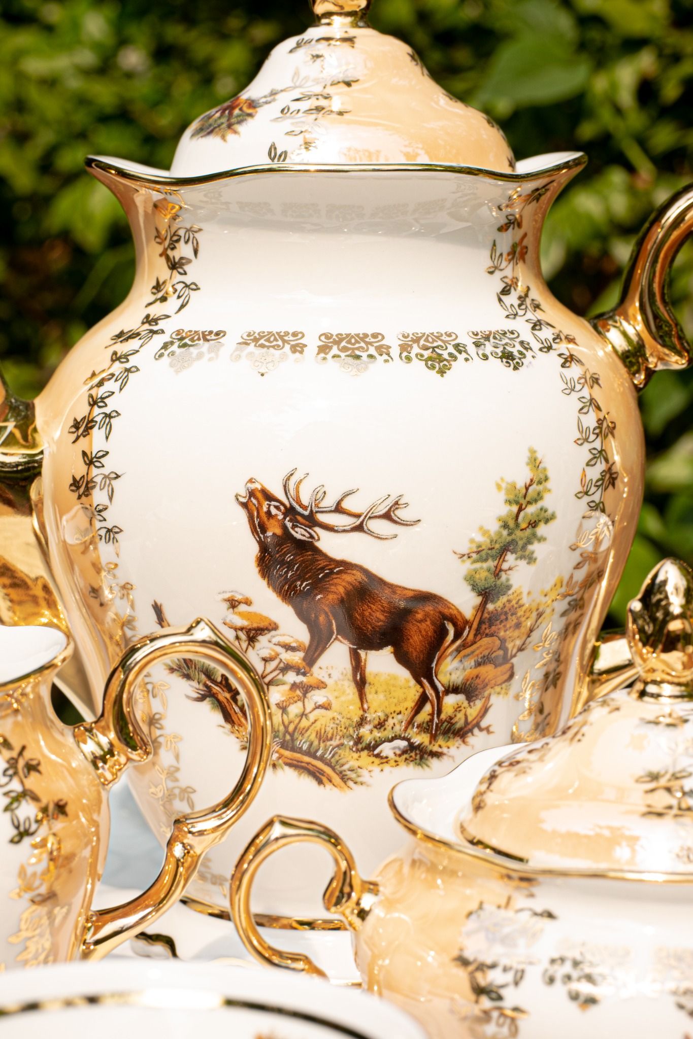 Cà phê con thú xanh lá sọc – Sera