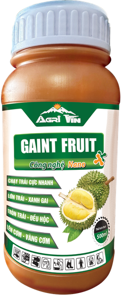 GAINT FRUIT 500ML