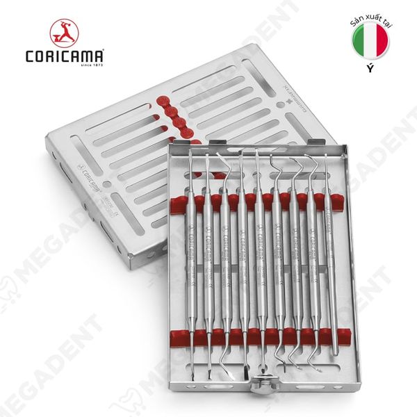 Bone chisel set - Bộ đục xương - Bộ – Megadent.vn