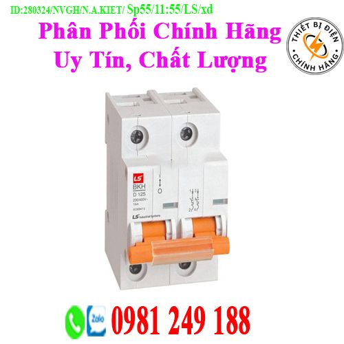 MCB LS BKH 10kA 2P 125A – thietbidienchinhhang