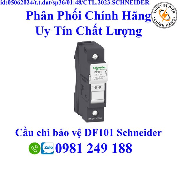Cầu chì bảo vệ DF101 Schneider – thietbidienchinhhang