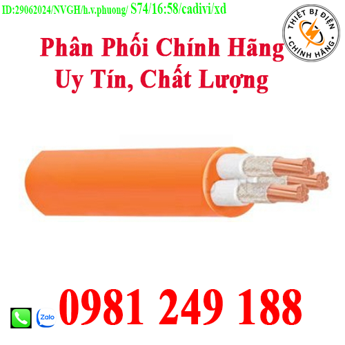 Cáp đồng chậm cháy CXV/FRT-3x6mm2, 0.6/1KV Cadivi 56002882 – thietbidienchinhhang