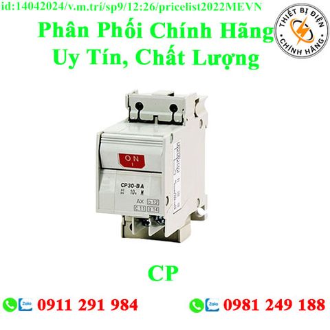 14J604A0002DS - Thiết bị bảo vệ mạch CP30-BA 3P 1-M 0.5A A SQ – thietbidienchinhhang