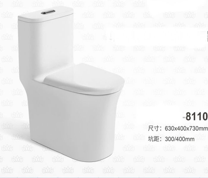 Bồn cầu liền khối Dosho DS - 8110 – DOSHO