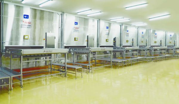 Individual Quick Freezer (IQF) System – Công ty TNHH ANH PHÁT - ANH ...