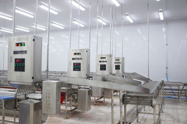 Post – Filleting Line – Công ty TNHH ANH PHÁT - ANH PHAT CO.,LTD