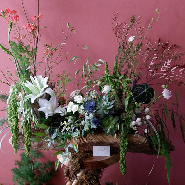 Monochrome Muse - La Vie Est Belle - Flower & Gift