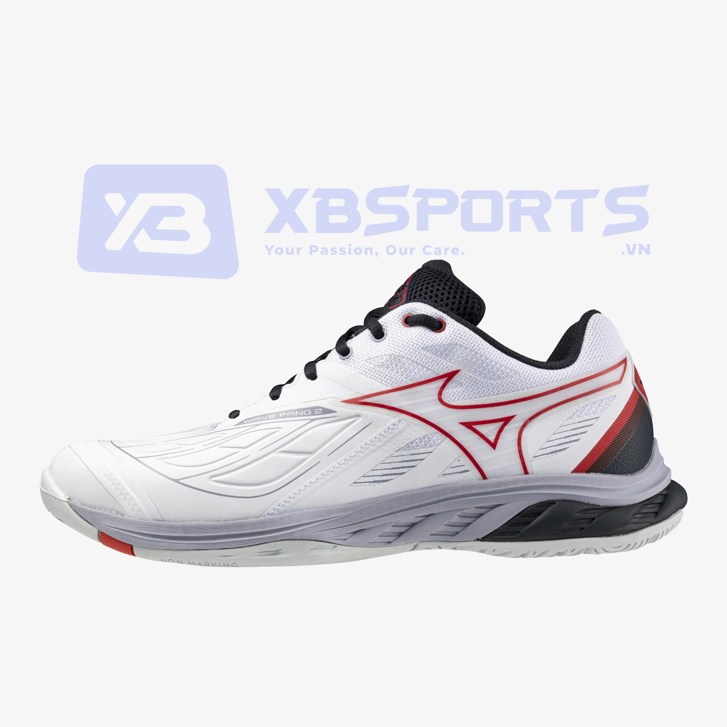 Giày cầu lông Mizuno WAVE FANG 2 Chính Hãng - XBSPORTS - HỆ THỐNG CỬA HÀNG CẦU LÔNG UY TÍN