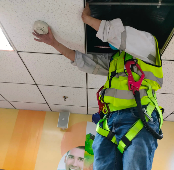 Ceiling & Hanging Inspection – LotusAsean
