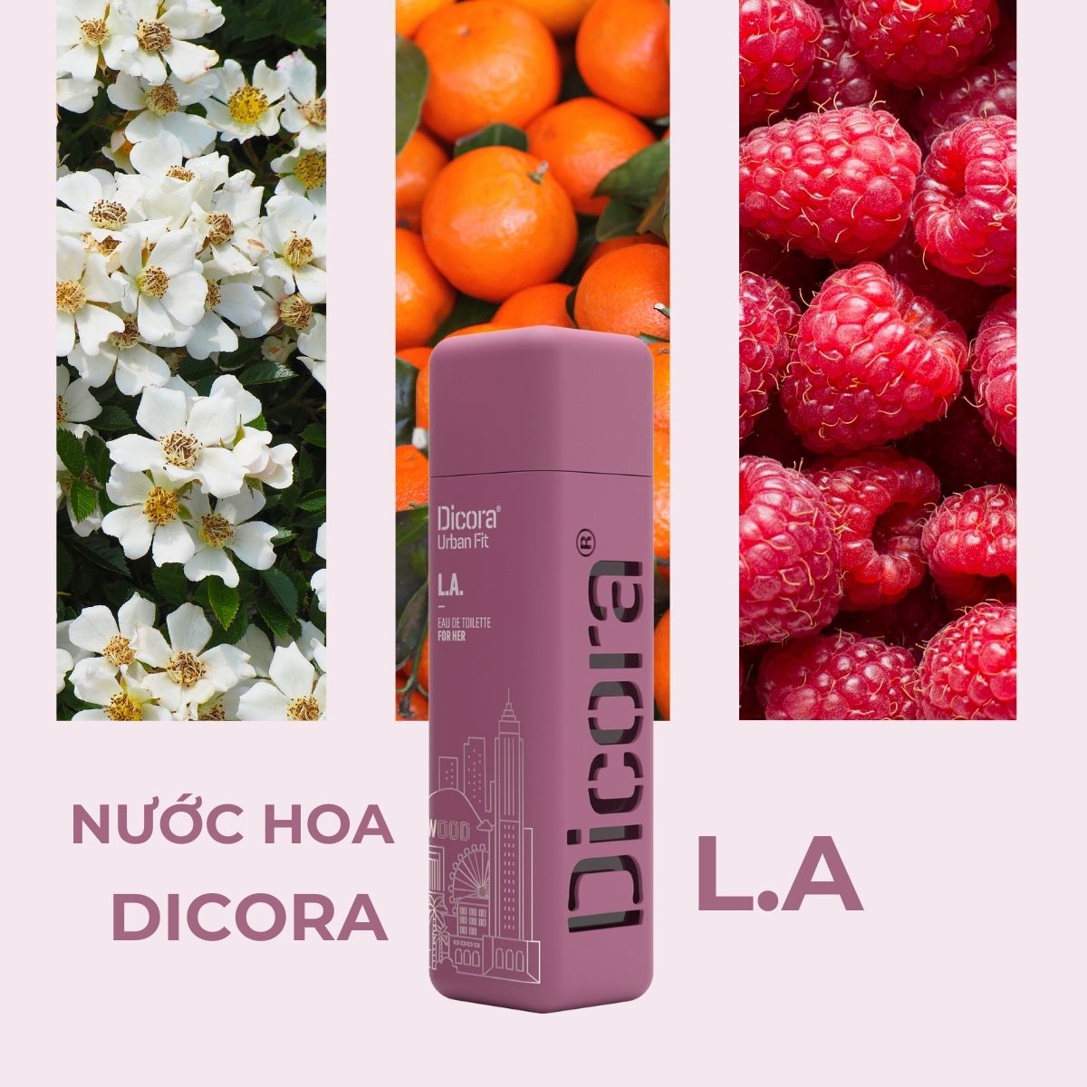 Nước hoa Dicora Urban Fit L.A. 100ml - BioTopcare