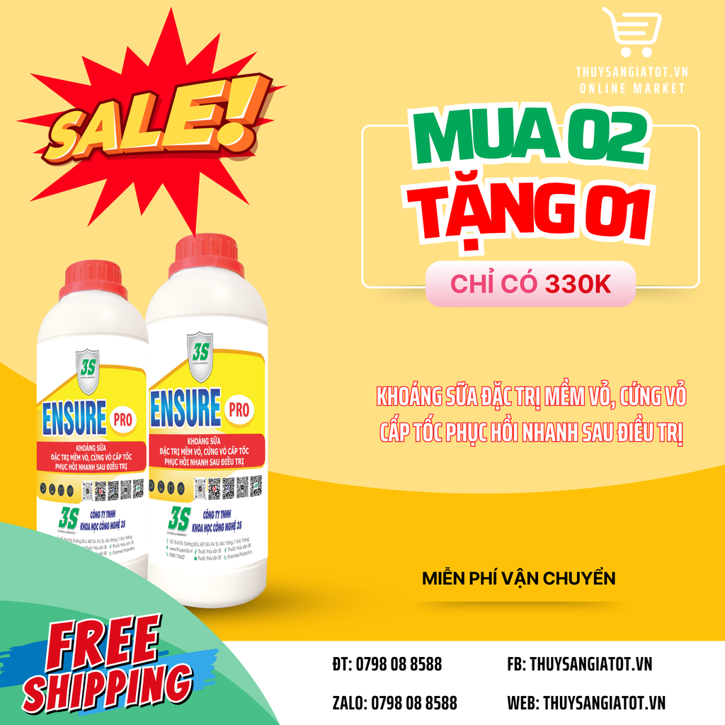 3S - ENSURE PRO