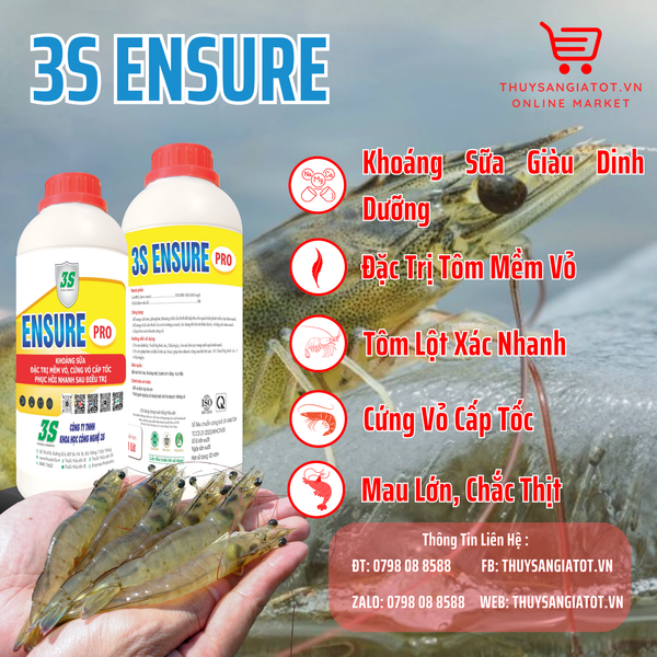 3S - ENSURE PRO