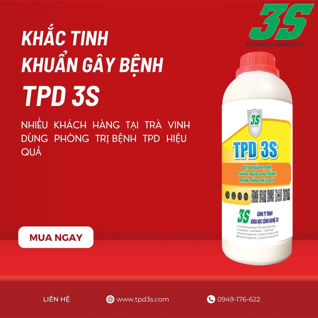 TPD 3S: DIỆT KHUẨN KỴ KHÍ - GAN TRẮNG