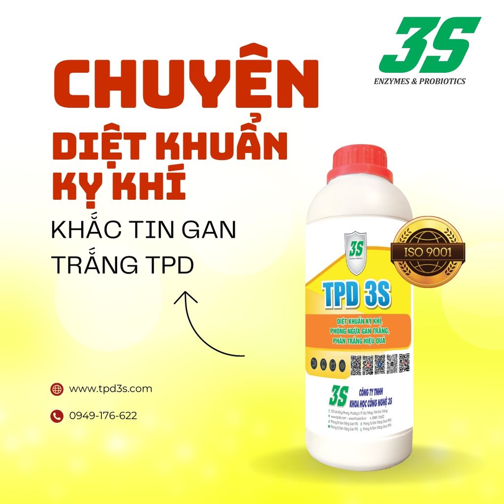 TPD 3S: DIỆT KHUẨN KỴ KHÍ - GAN TRẮNG