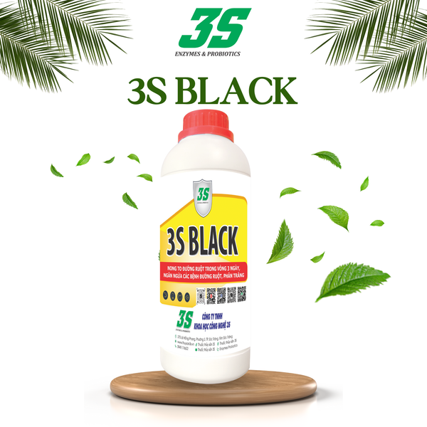 3S BLACK