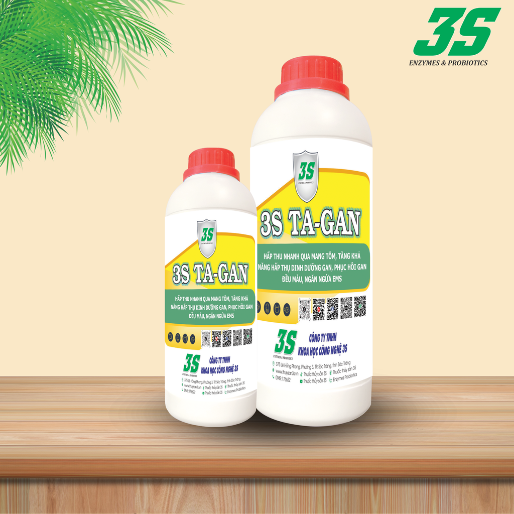 3S TA-GAN