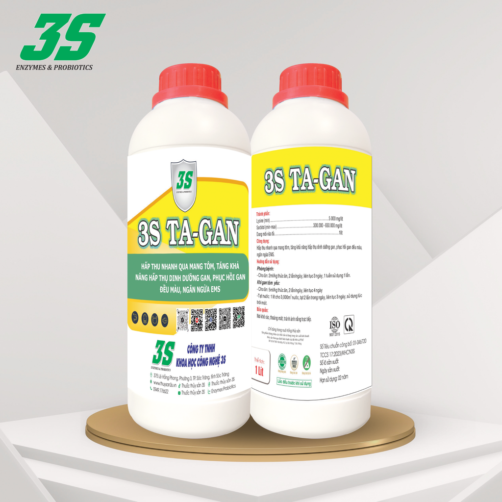 3S TA-GAN