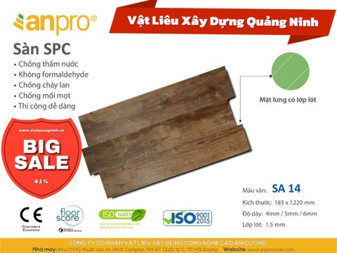 Sàn Nhựa Hèm Khóa Anpro - An Cường Sa14 – Vật Liệu Xây Dựng Quảng Ninh
