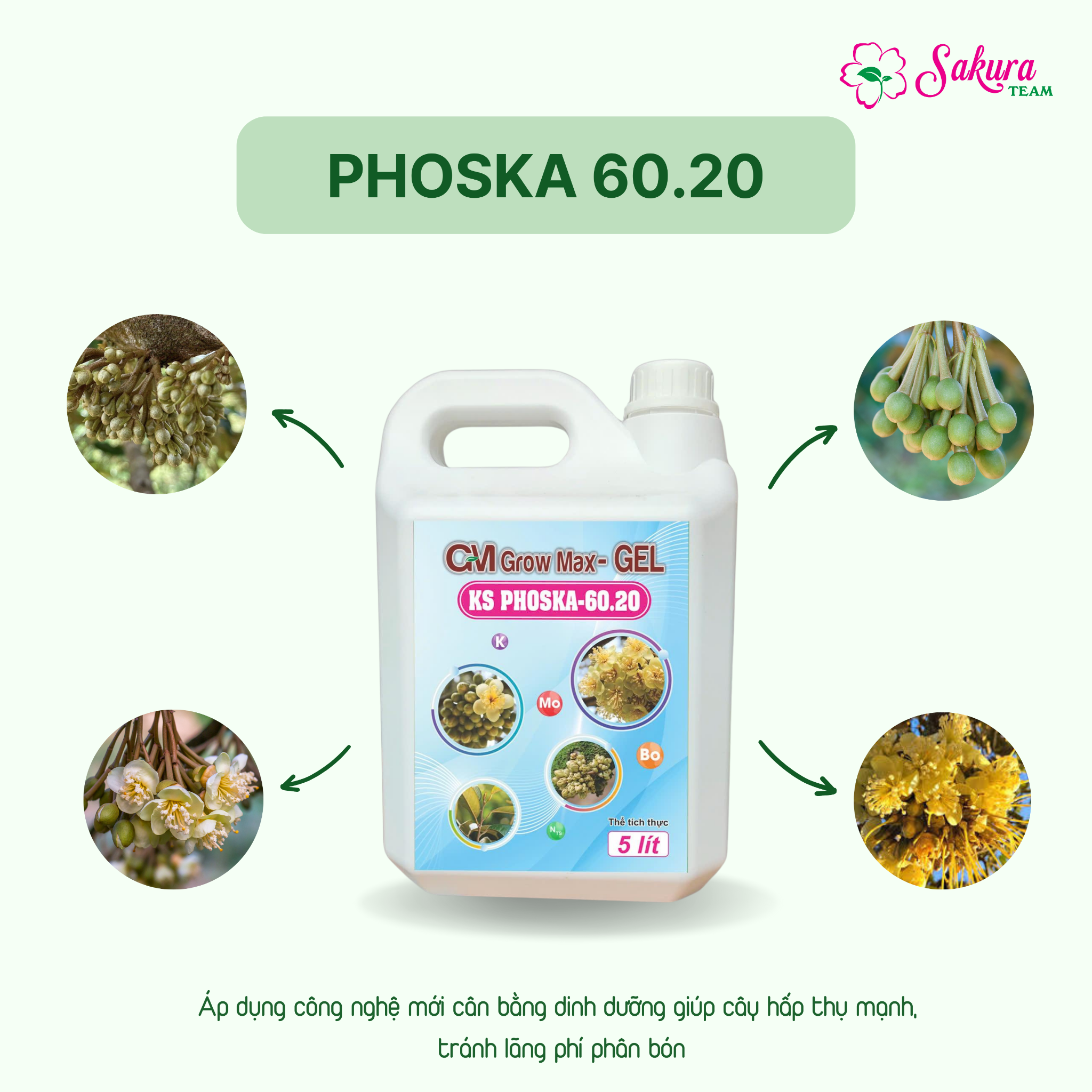 Phân bón KS - PHOSKA 60.20 cho cây sầu riêng (Can 5 lít) – Sakura Farm