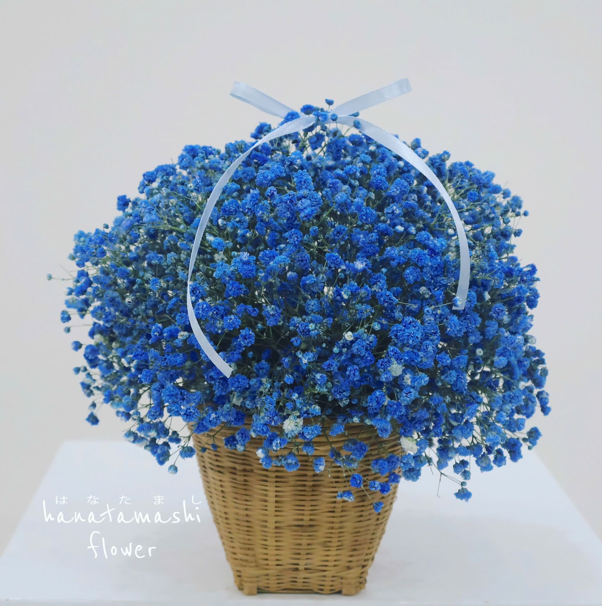 Blue Ball – Hanatamashi Flower