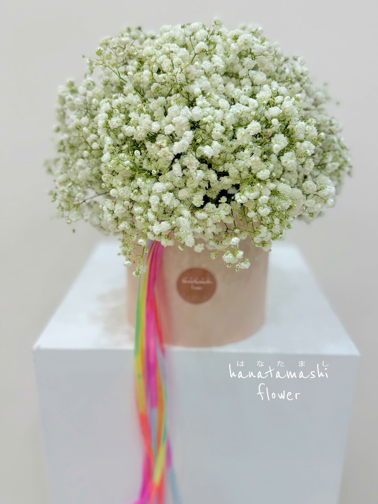 Babe Cute – Hanatamashi Flower