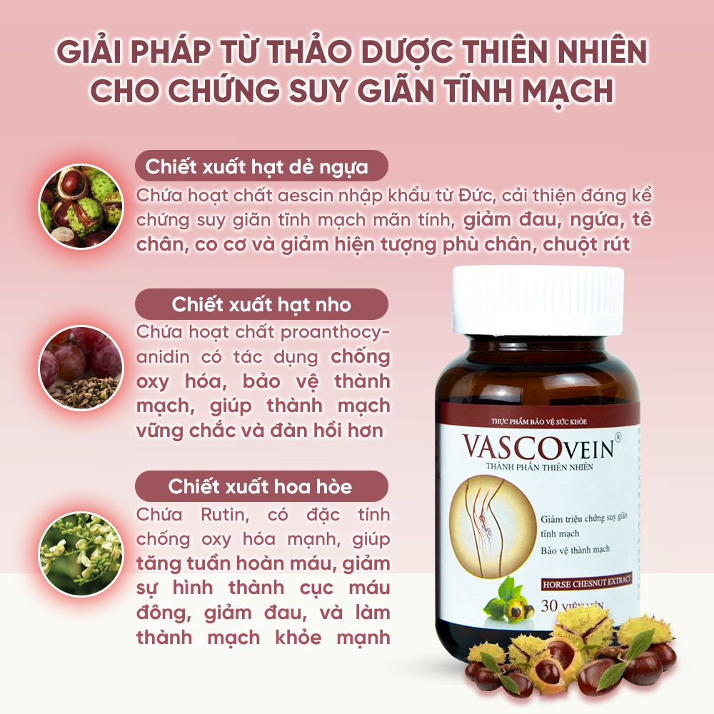 Viên Uống Hỗ Trợ Cải Thiện Bệnh Suy Giãn Tĩnh Mạch Vascovein Hộp 30 vi ...