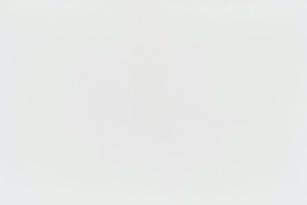 Solid Ultra White P1101 – VICCORP