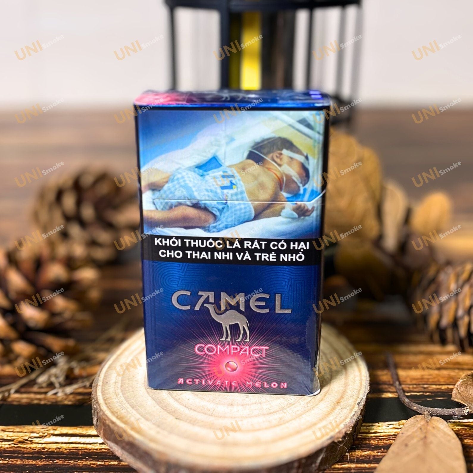 Camel Compact Melon Touch Bấm Dưa Hấu