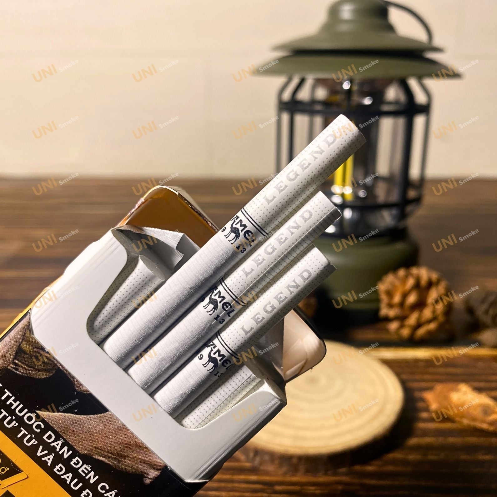 Camel 1913 Legend Yellow (Nặng)