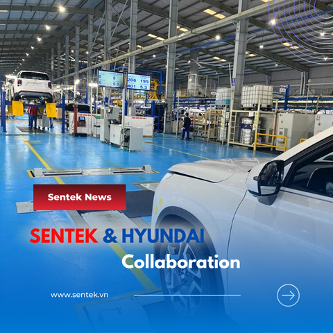 Dự án – Sentek