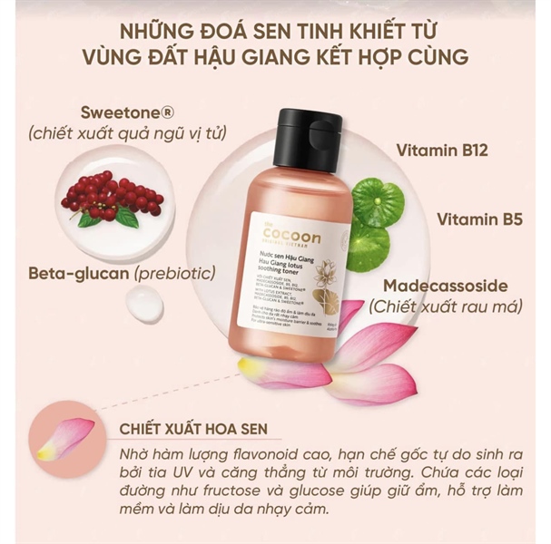Toner The Cocoon Original Nước Sen Hậu Giang Lotus Soothing Dịu Lành ...