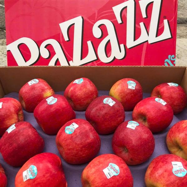 Táo Pazazz Mỹ tại Hoàng Giang Fruit – HG FRUIT