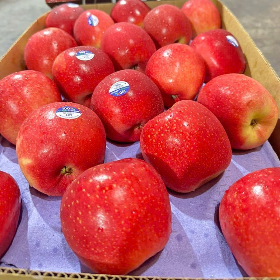 Táo Queen New Zealand – Táo Nhập Khẩu Giá Sỉ Tại Hoàng Giang Fruit – HG FRUIT