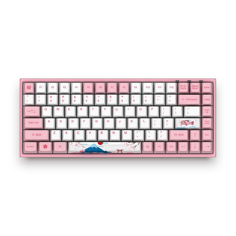 Bàn phím cơ Akko World Tour - Tokyo 3084 (Akko Blue switch) – Mai Hoàng