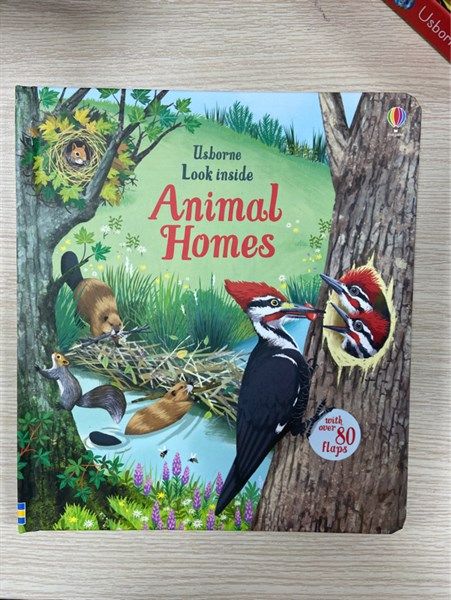 Look inside Animal Homes