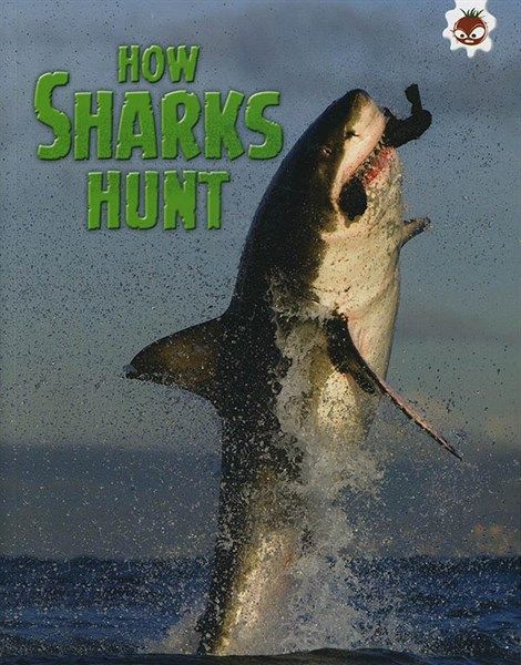 Shark….. How Sharks Hunt